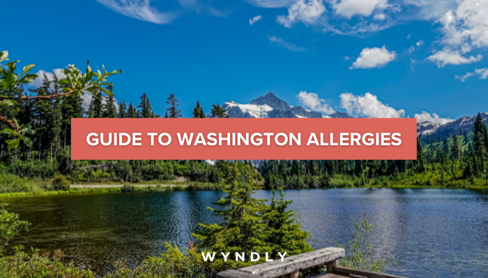 Washington Allergy Guide: Symptoms and Treatment 2025