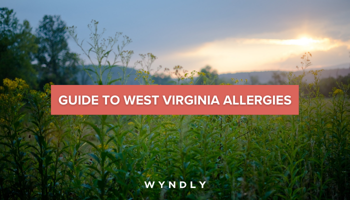 West Virginia Allergy Guide: Symptoms and Treatment 2025