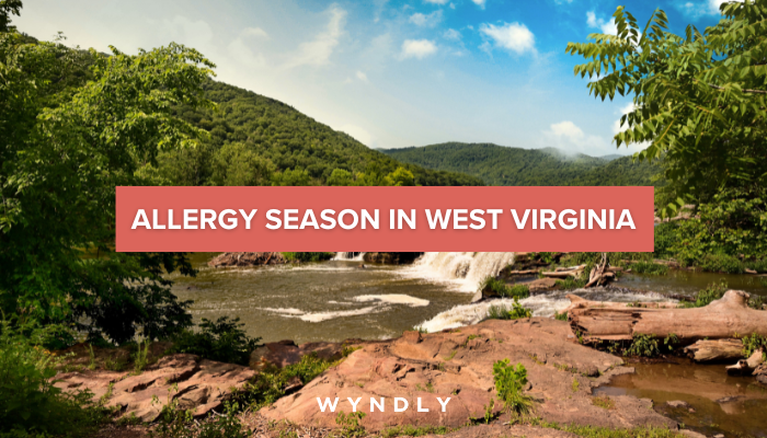 When Is West Virginia Allergy Season? Start, Peak, and End 2025 & Wyndly