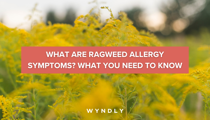 Ragweed Allergy Symptoms: Causes, Diagnosis, and Treatment 2025 & Wyndly