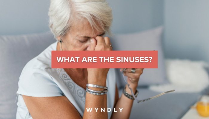 What Are the Sinuses? 2025 & Wyndly
