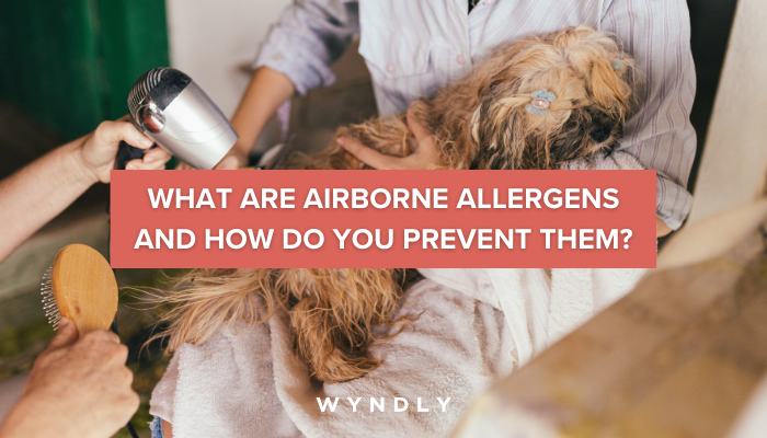 How to Manage Indoor and Outdoor Airborne Allergens 2025 & Wyndly