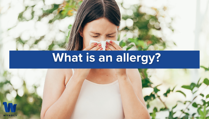What Is an Allergy and How Does Your Body React to It? 2025 & Wyndly