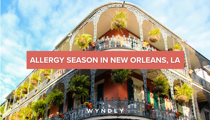 When Is New Orleans Allergy Season? Start, Peak, and End 2025 & Wyndly