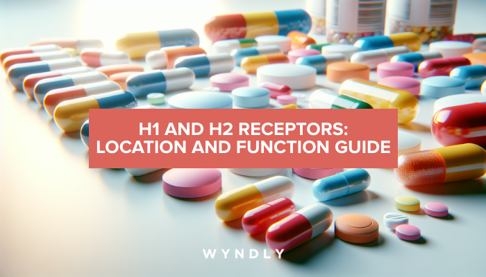 H1 and H2 Receptors: Location and Function (2026) & Wyndly