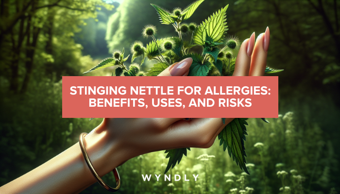Stinging Nettle: A Natural Remedy for Allergies? 2025 & Wyndly