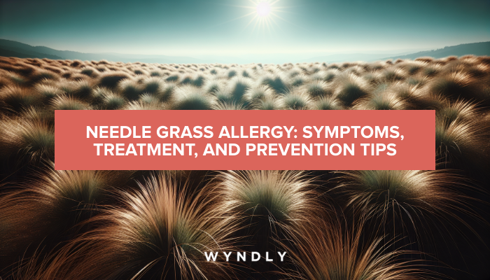 Needle Grass Allergy: Recognizing Symptoms and Treatment Options 2025 ...