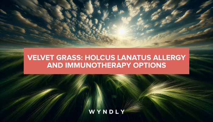 Velvet Grass Allergies: Understanding and Treating with Immunotherapy ...