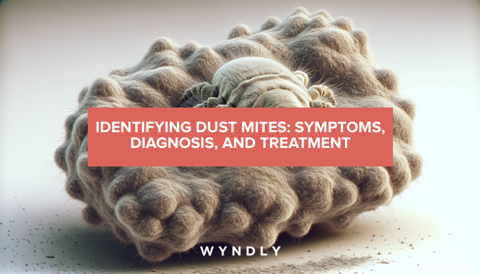 Dust Mites Allergy: Identification, Symptoms, and Treatment 2025 & Wyndly