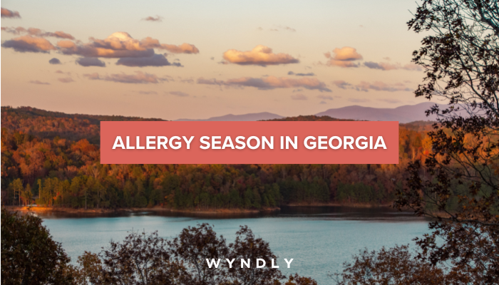 Georgia Allergy Season: Start, Peak, and End 2025 & Wyndly